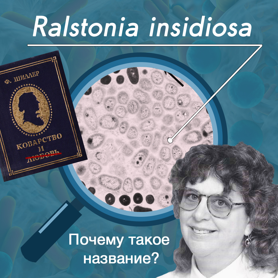 Ralstonia insidiosa — почему такое название?
